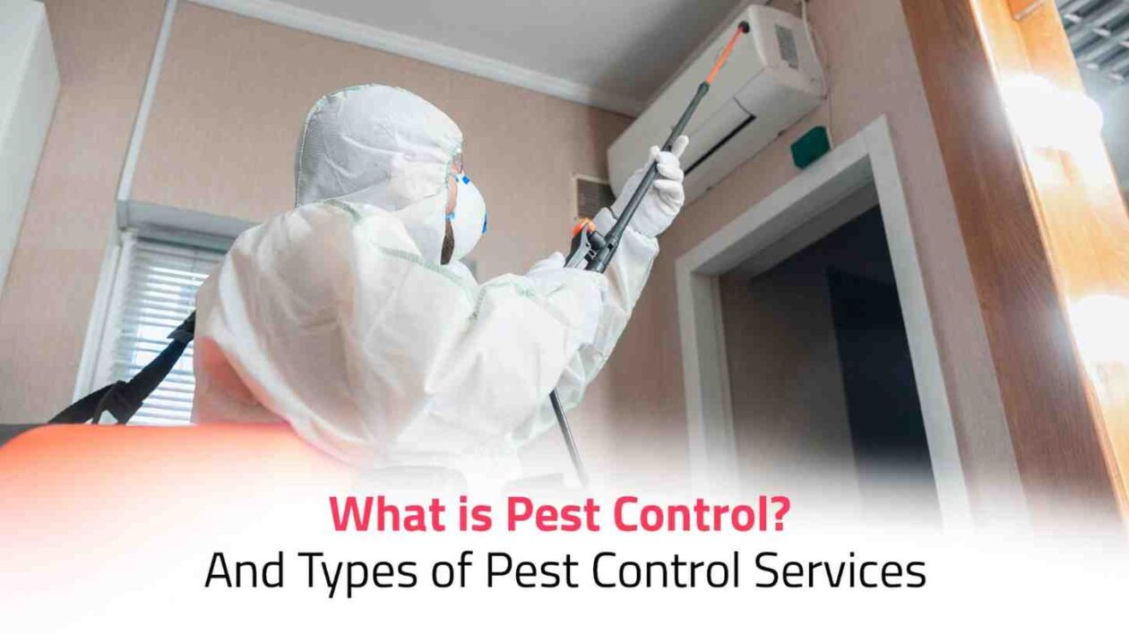 What is Pest Control? And Types of Pest Control Services